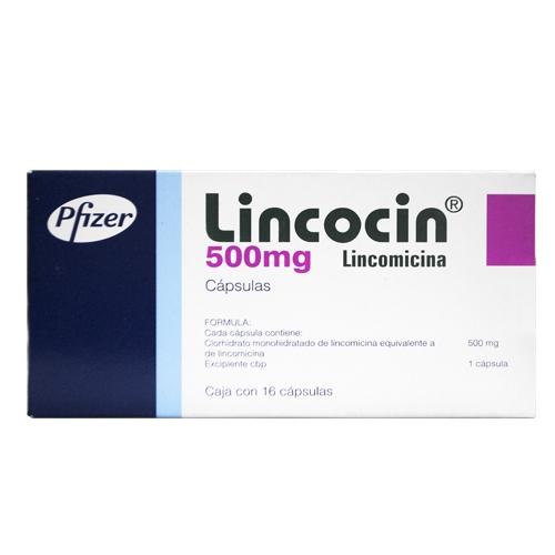 Lincocin 500 Mg Con 16 Capsulas – Farmacia Herrera